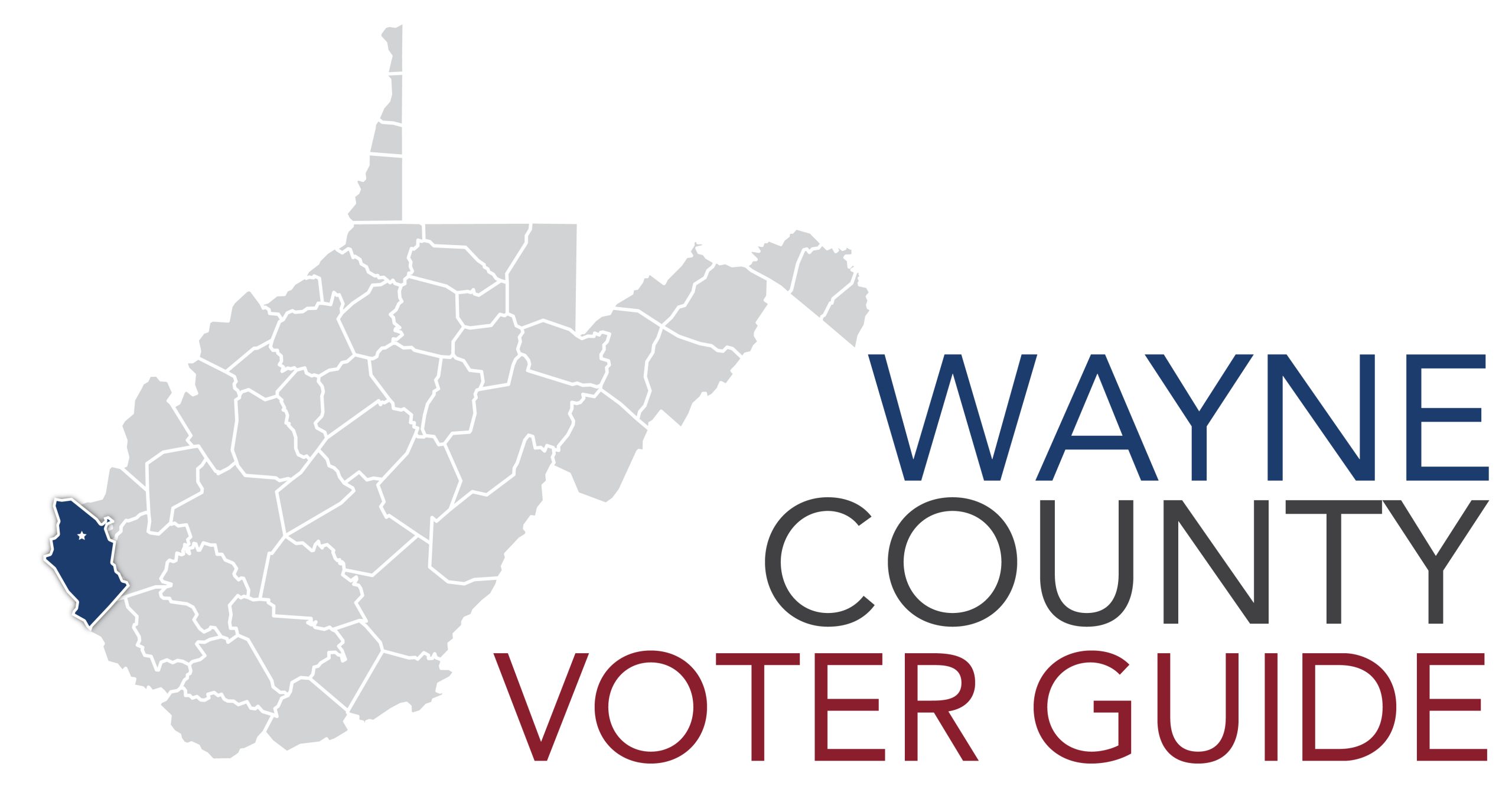 Wayne County 2024 general election voter guide: What to know