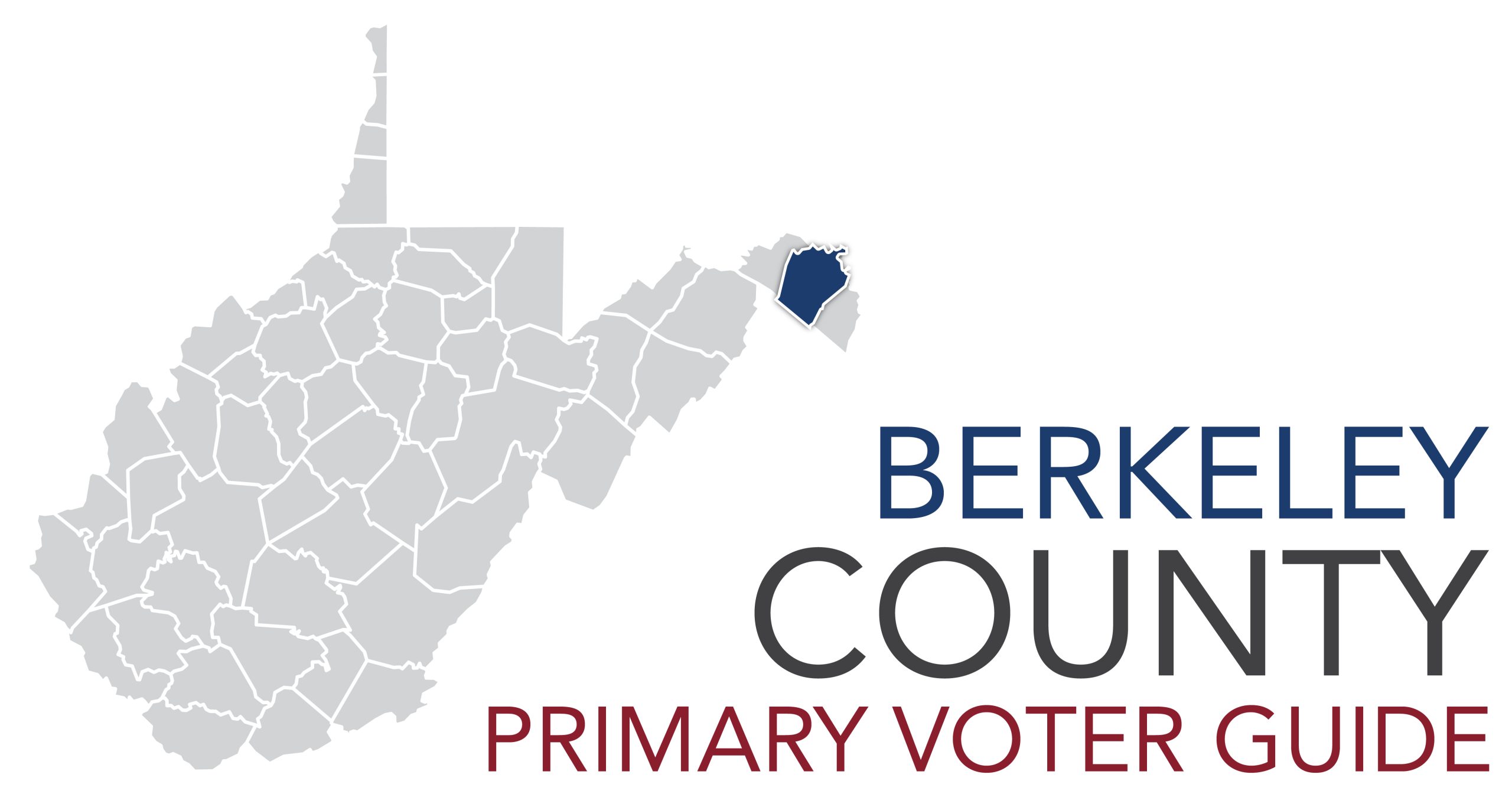 Berkeley County 2024 primary election voter guide: What to know