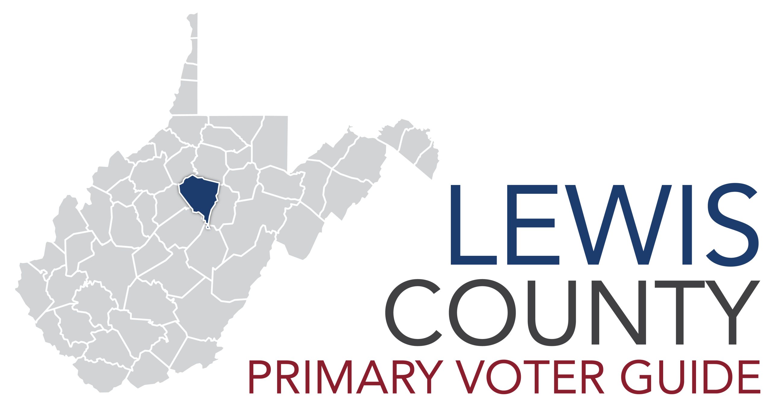 Lewis County 2024 primary election voter guide: What to know