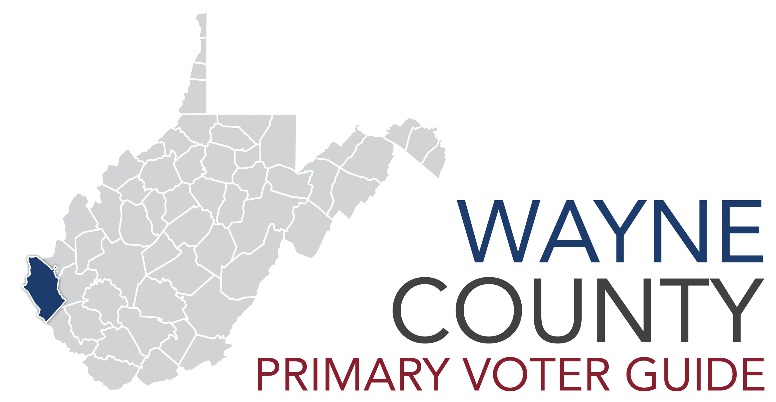 Wayne County 2024 primary election voter guide: What to know